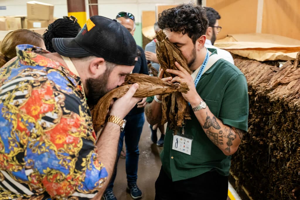 Dernières places disponibles pour le festival Procigar 2025 — Cigars ...