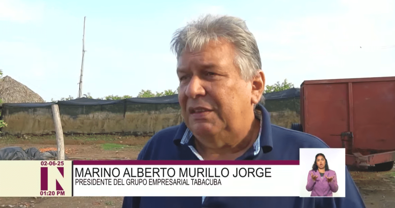 BREAKING Cuba aims to export 70 million cigars in 2025 — Cigars-connect